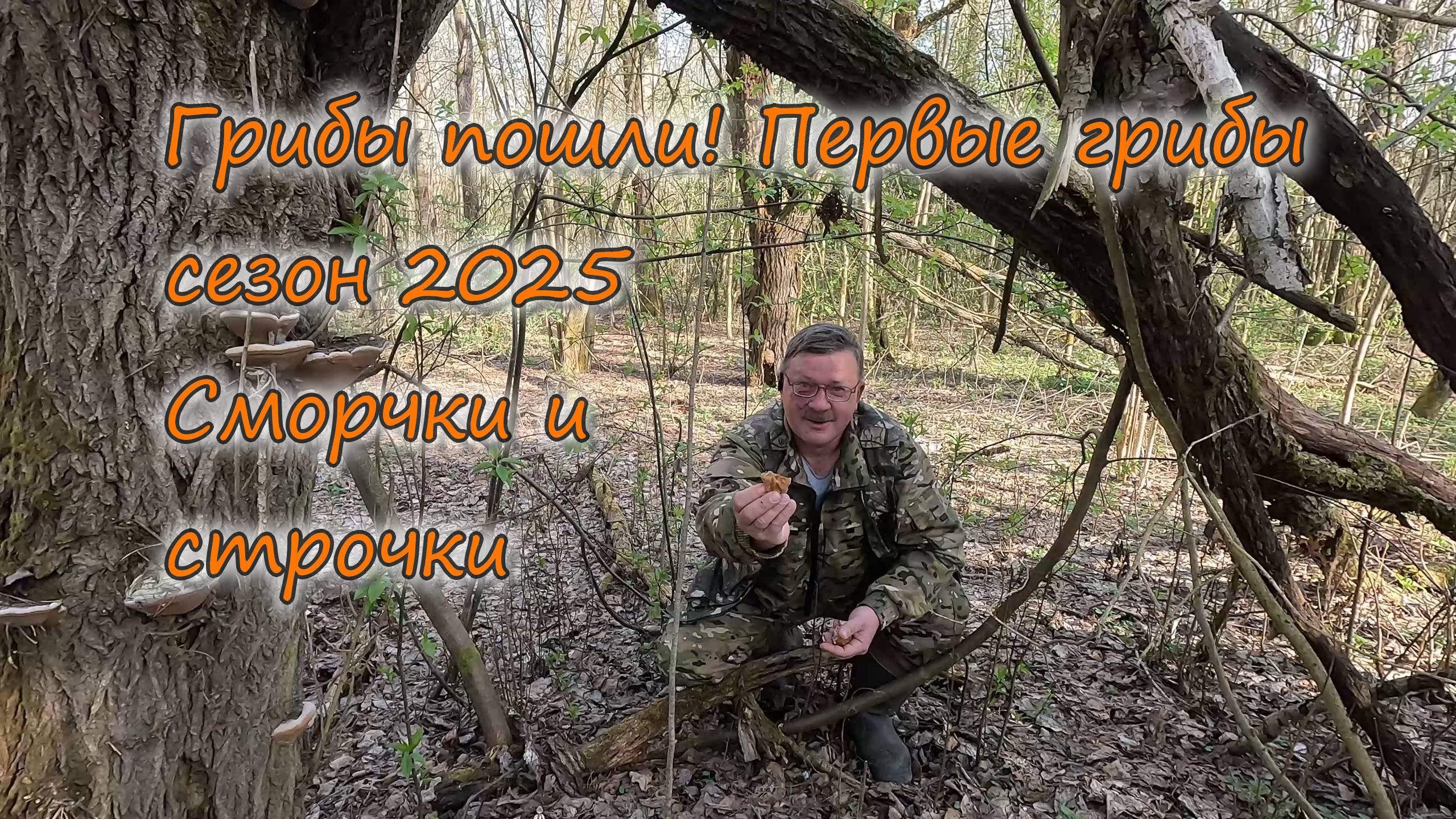 Грибы пошли! Первые грибы сезона 2025 Сморчки и строчки
