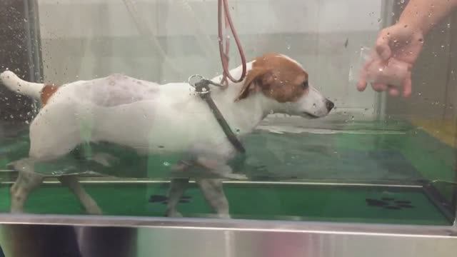 Гидротерапия