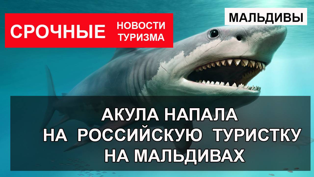 Акула напала на Российскую туристку на Мальдивах