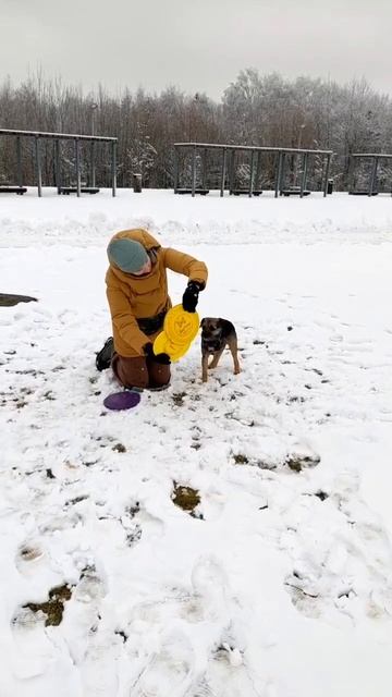 БТ Грэм - кольцо рук