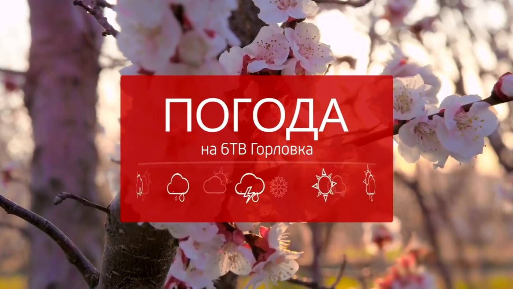 Погода на телеканале 6ТВ 19.04.2025г.