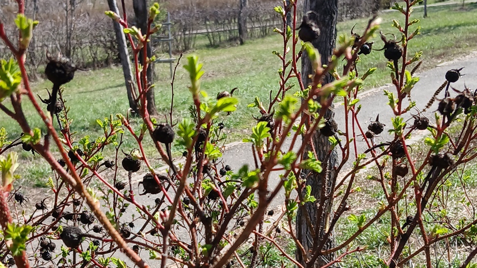 Прогулка по мини парку и городу. #прогулка