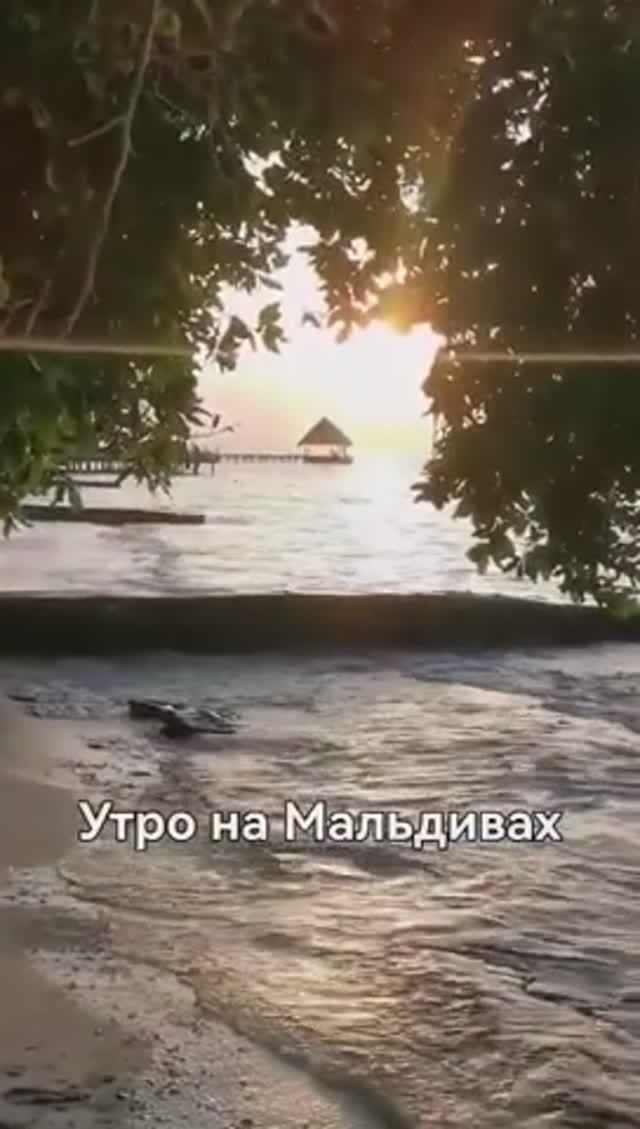 Отдых на Мальдивах