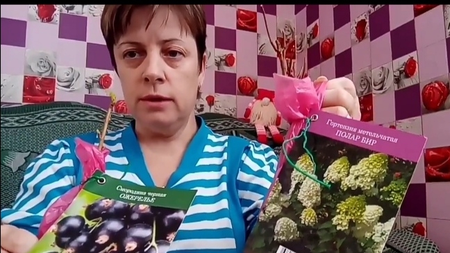 Распаковка саженцев из магазина Светофор.