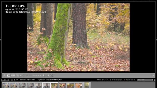 Fujifilm XF 18-55 мм vs Fujifilm XF 18-135 мм: сравнение в реальном времени