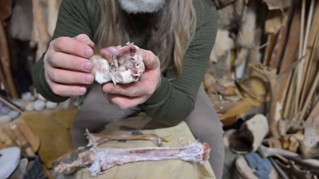 Первобытные технологии: Добыча и применение сухожилий.