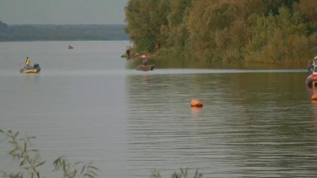 Летний вайб - 2024 год