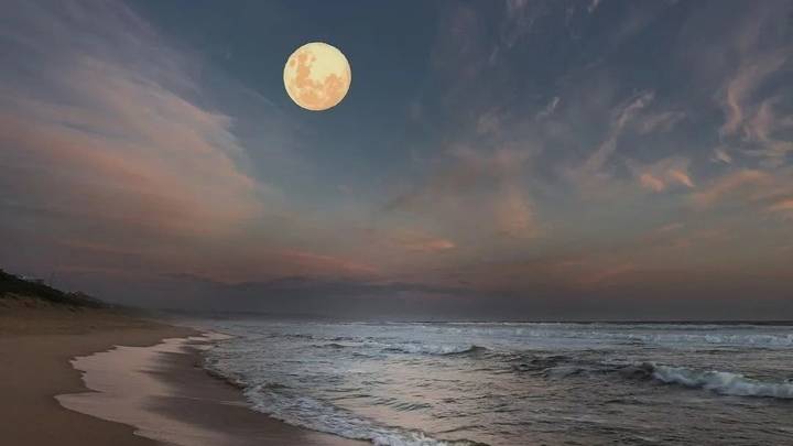 Владимир Швецов - "По Лунной дорожке"