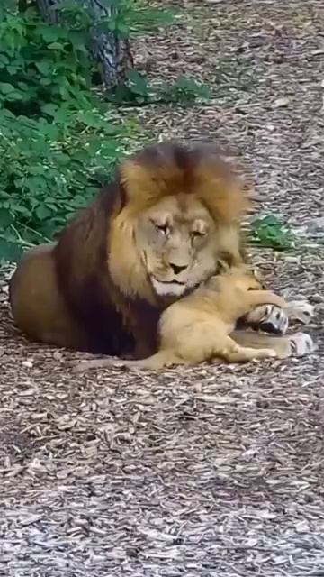 неудержимый Play ✔