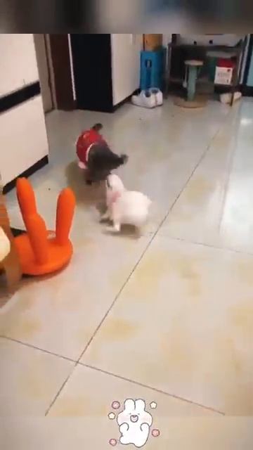 неудержимый Play ✔