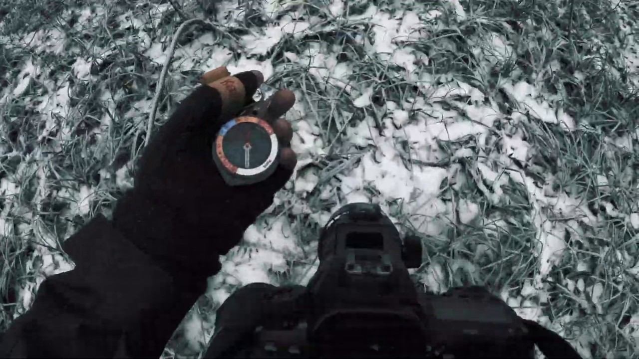 В поисках мертвого лося на болотах, часть I