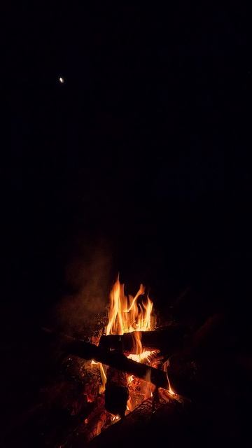 Ночной костёр в лесу.