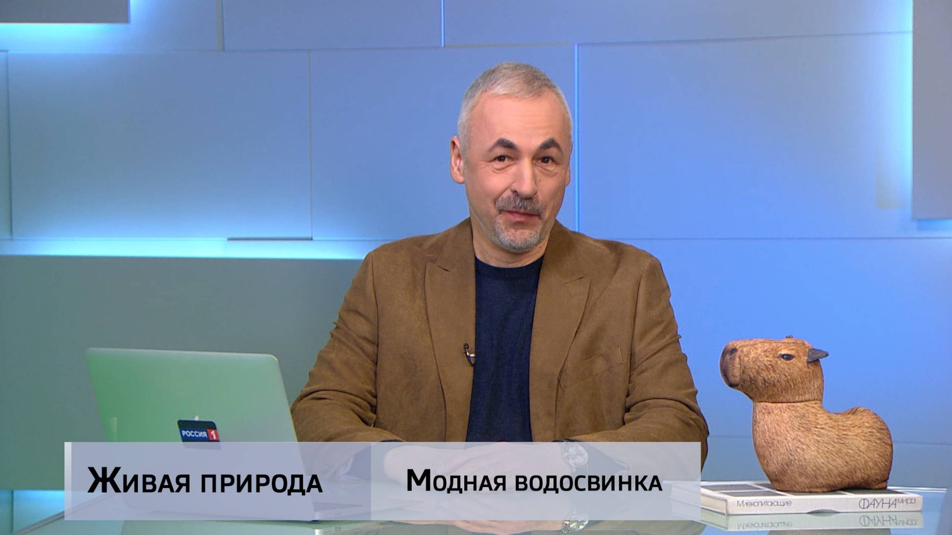 Живая природа. "Модная водосвинка"