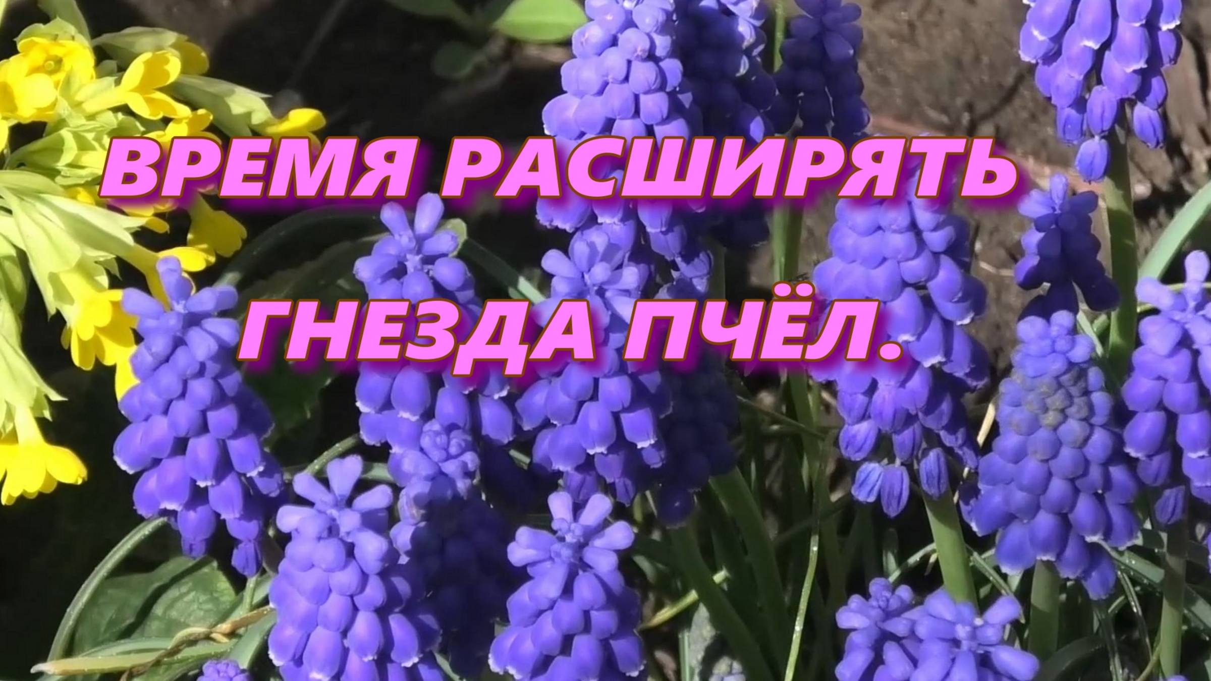 ВРЕМЯ РАСШИРЯТЬ ГНЕЗДА НО НЕ ВСЕ.