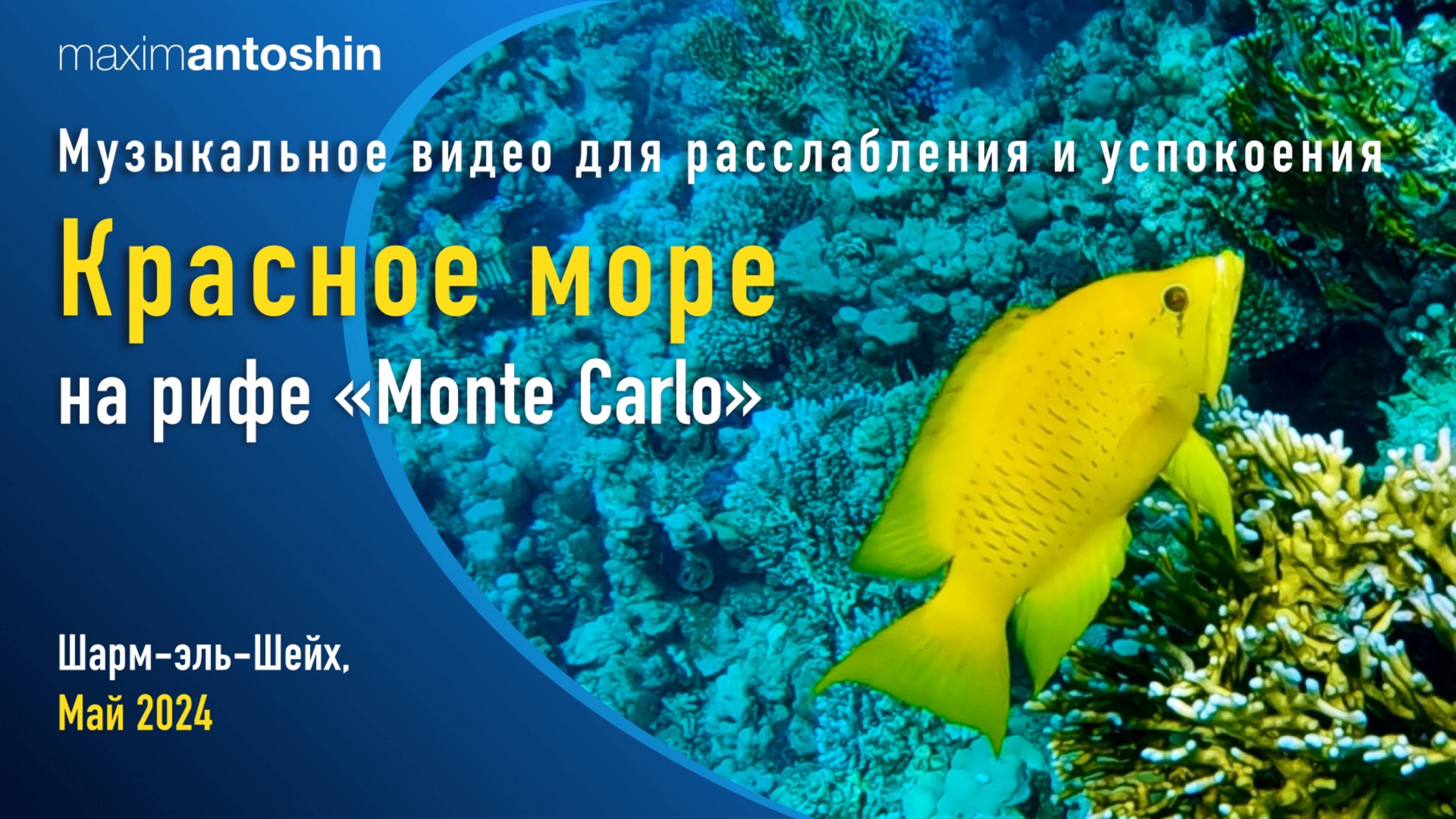 Музыкальное видео для расслабления и успокоения. Подводный мир отеля "Монте Карло. Май 2024