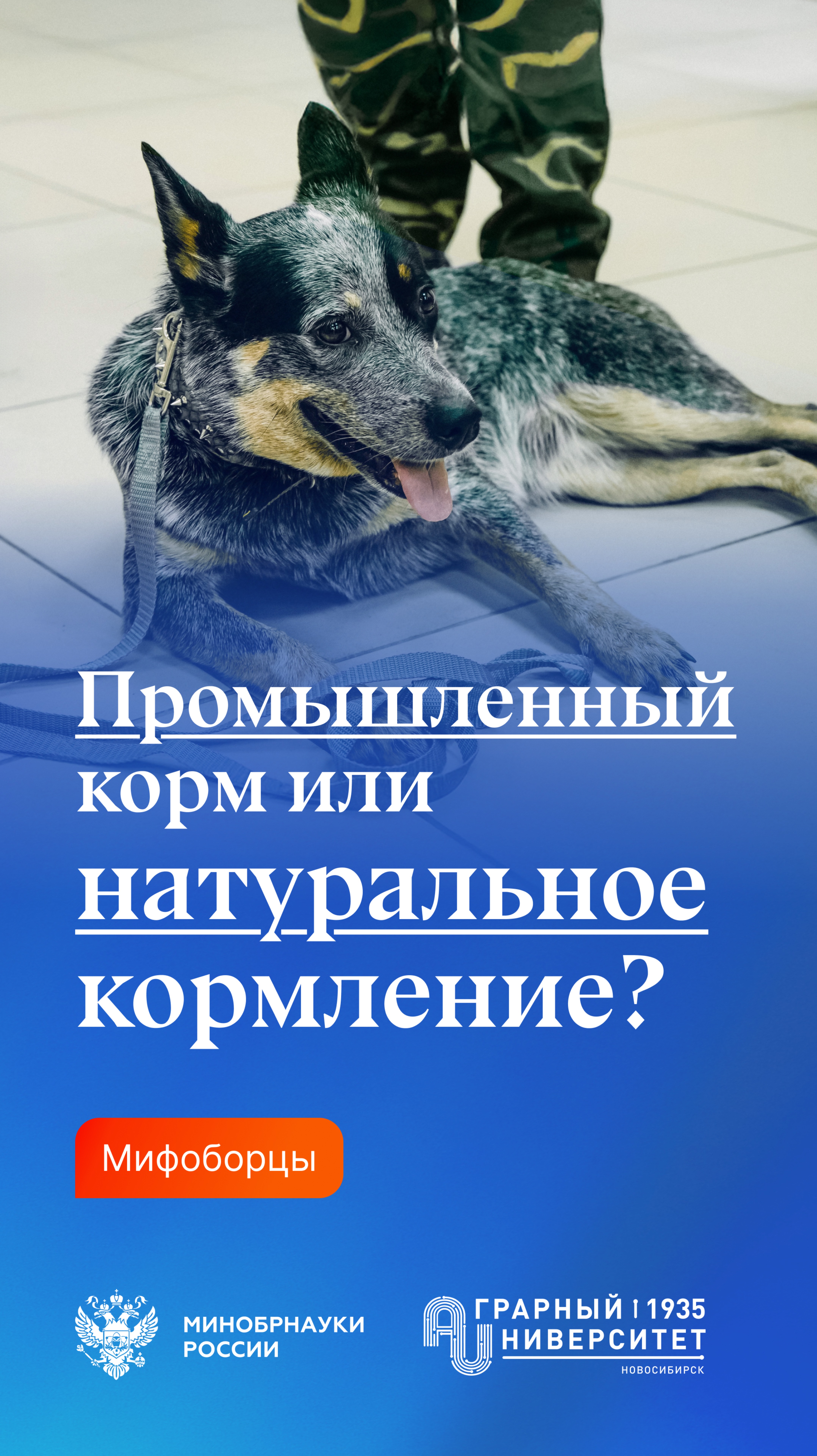 Промышленный корм или натуральное кормление?