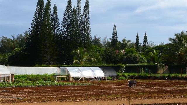 Own it 2 Start_it_5_1