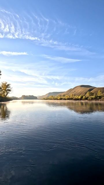 #рыбалка #сарога