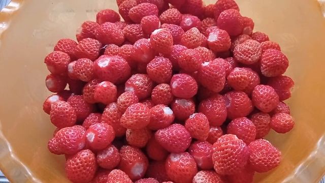 ВАРИМ ВКУСНОЕ КЛУБНИЧНОЕ ВАРЕНЬЕ