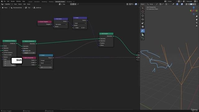 5 - Lesson 4 Branch System Basics