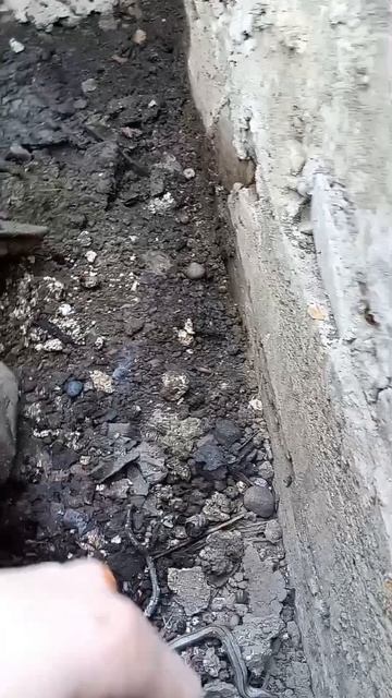 Сюрприз в яме