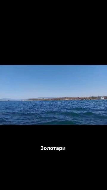 Оснащённая троллинговая блесна №106 с ассистами на симу/горбушу