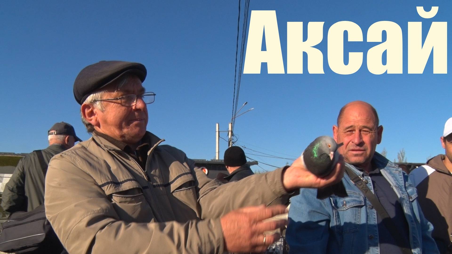 Птичий рынок. Ростов-на-Дону. Аксай. [19.04.2025]