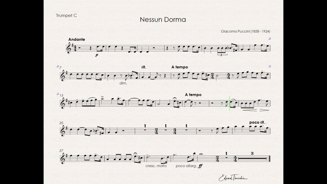Nessun Dorma - backing track for trumpet C - metronom