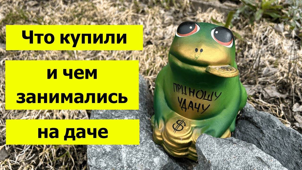 Что купили и как провели день на даче