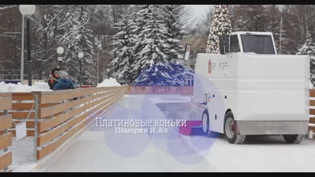 Платиновые коньки "Поморин И. Ко"