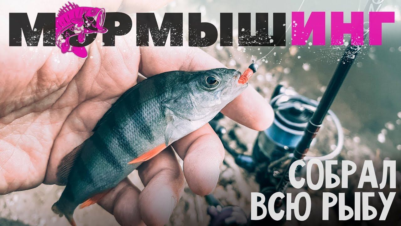 Окуни и мирная рыба на мормышку ► МОРМЫШИНГ