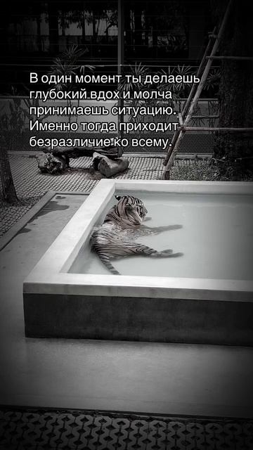 Спокойствие