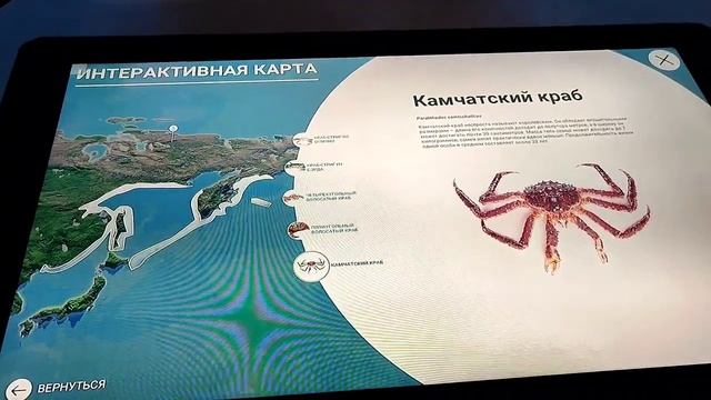 Камчатка, интерактивная карта 03.08.25.