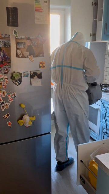 Дезинфекция, дезинсекция и дератизация от санэпидемстанции (СЭС): уничтожение клопов и тараканов!