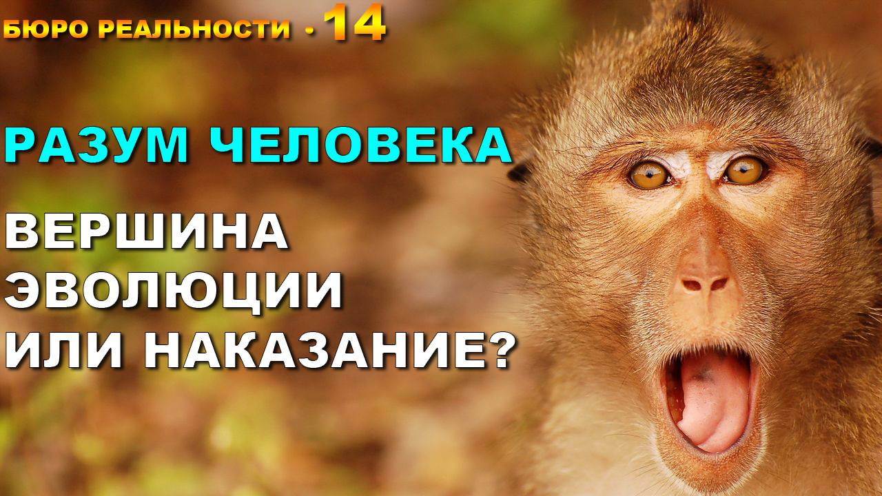 14. Разум человека.  Вершина эволюции или наказание?