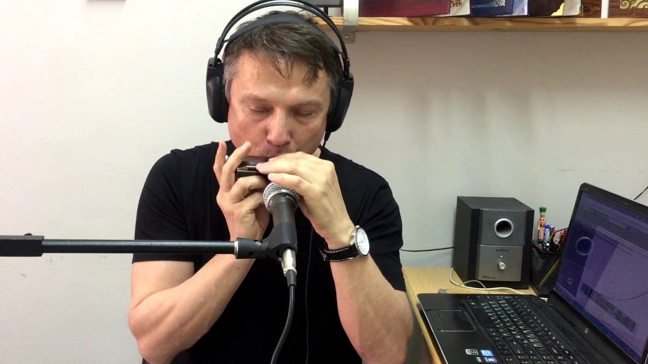 Estate by Bruno Martino Suzuki Sirius S48.Год занятий на хроматической губной гармонике