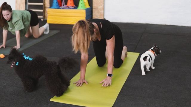 Истории: Зооцентр для спортивных собак