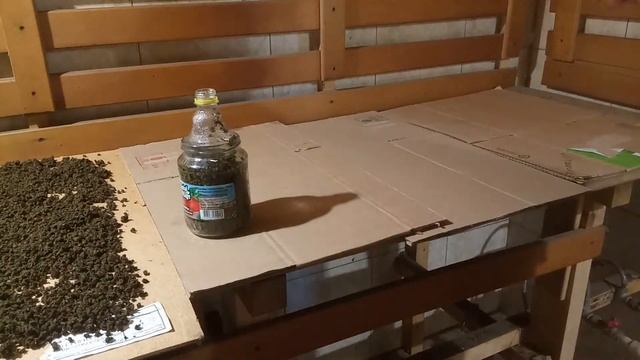 Иван-чай. Ферментация