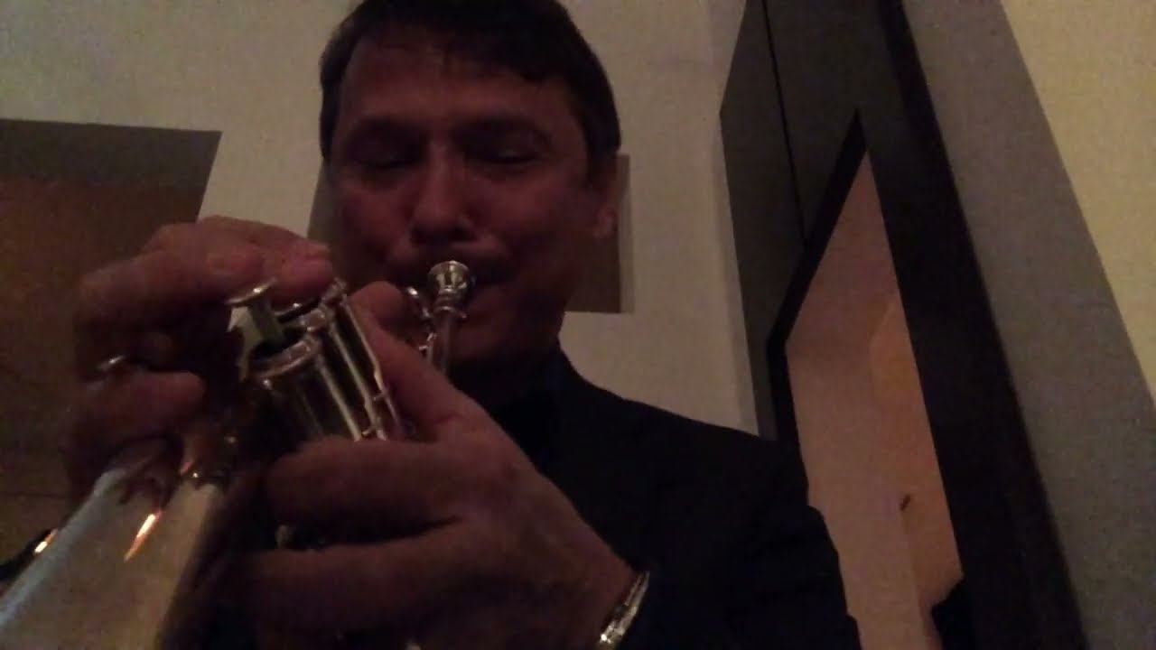 Rodrigo - Aranjuez Adagio - flugelhorn cover (live)