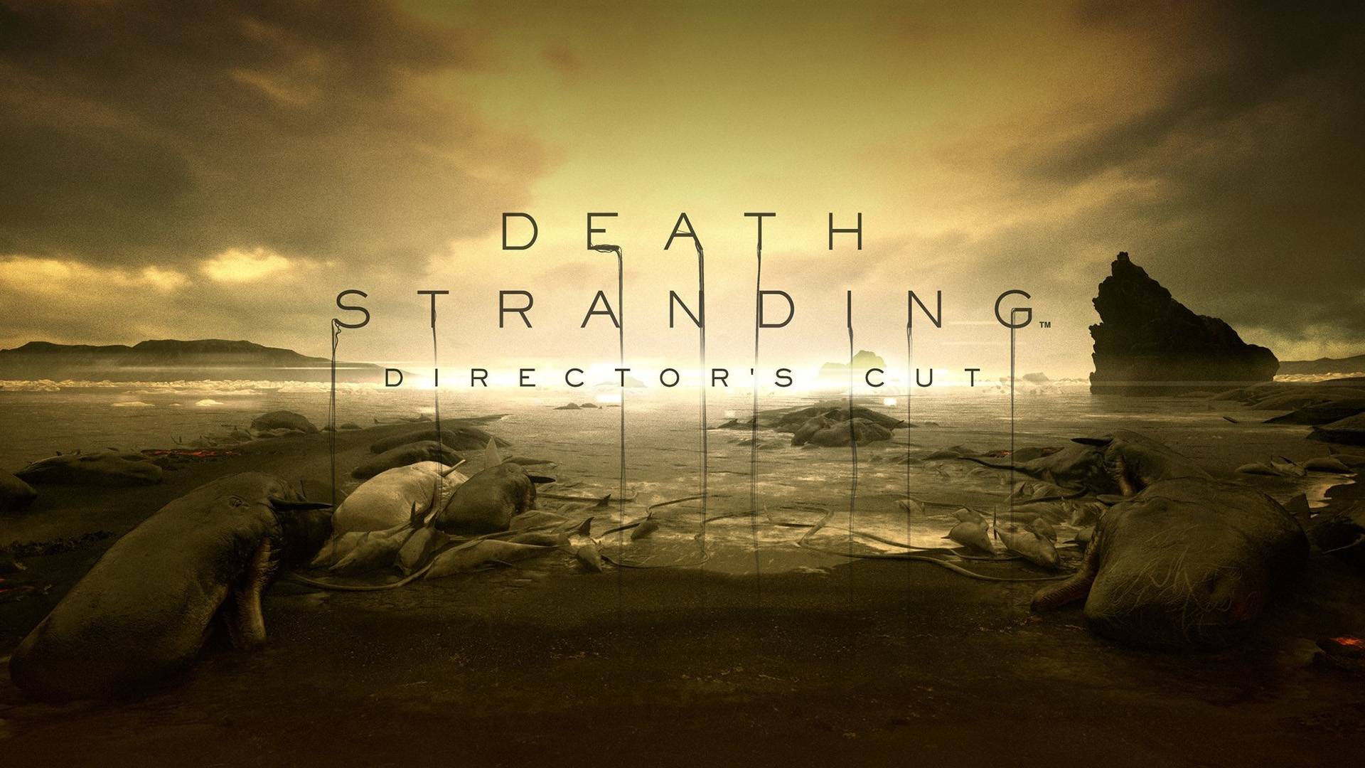 Death Stranding: Director’s Cut in 2025