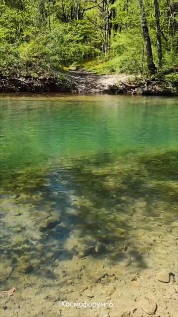 Космофорум-6