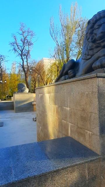 Ростов-на-Дону.Львы.Банк.16.04.25.