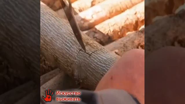 схрон-убежище которое не заметят