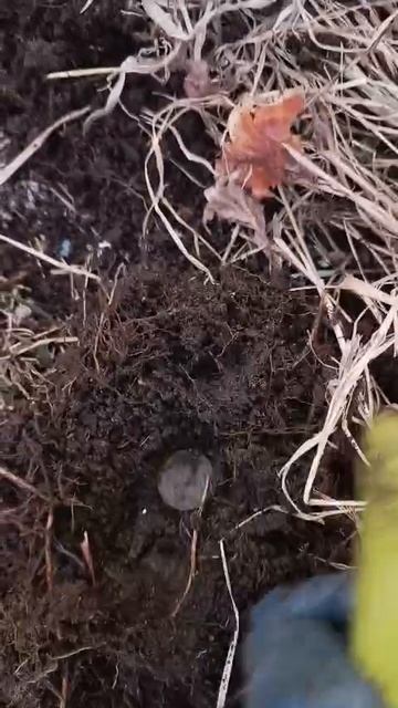 Монетос- долгожданное событие мелочь а приятно