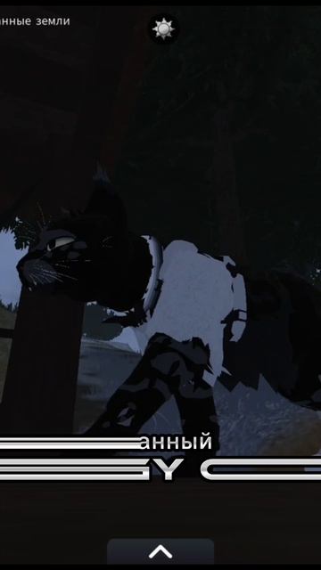 Все мои персы во вкуе часть 2 последняя
Wcue/roblox/2025/shorts/Firepaw/RedRaven/