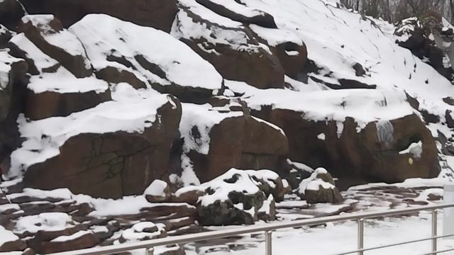 Чем прекрасен океанариум Владивостока в марте 2025