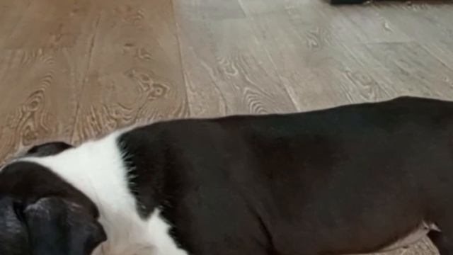 64 Исключительное обоняние