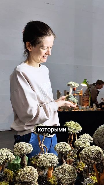 Дерево из цетрарии. Видео отзыв от покупательницы с "Закоренелого маркета"