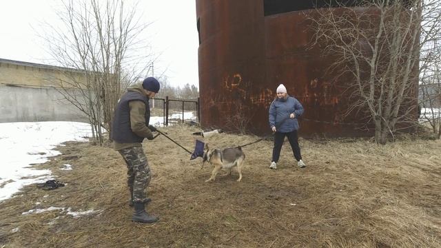 Защитный раздел (Раскусывание щенка). Перед просмотром читайте описание к ролику.