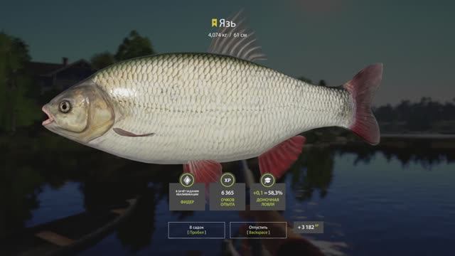 Русская Рыбалка 4 (Трофей Язь) оз. Комариное